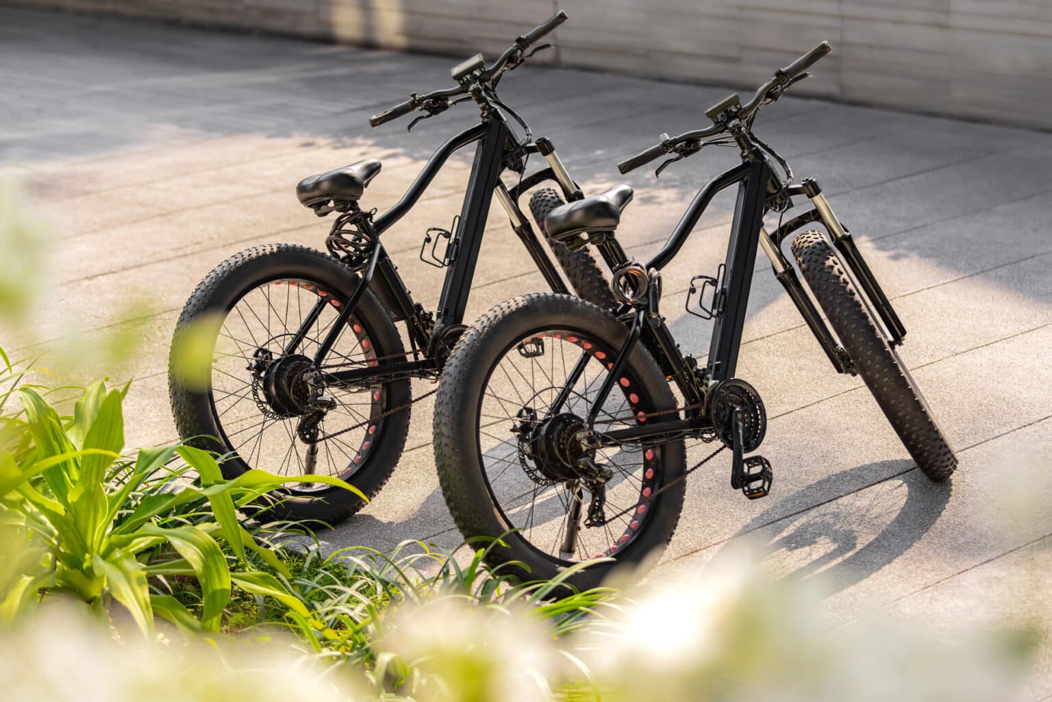 Palm Fitness Phuket | Surin Beach