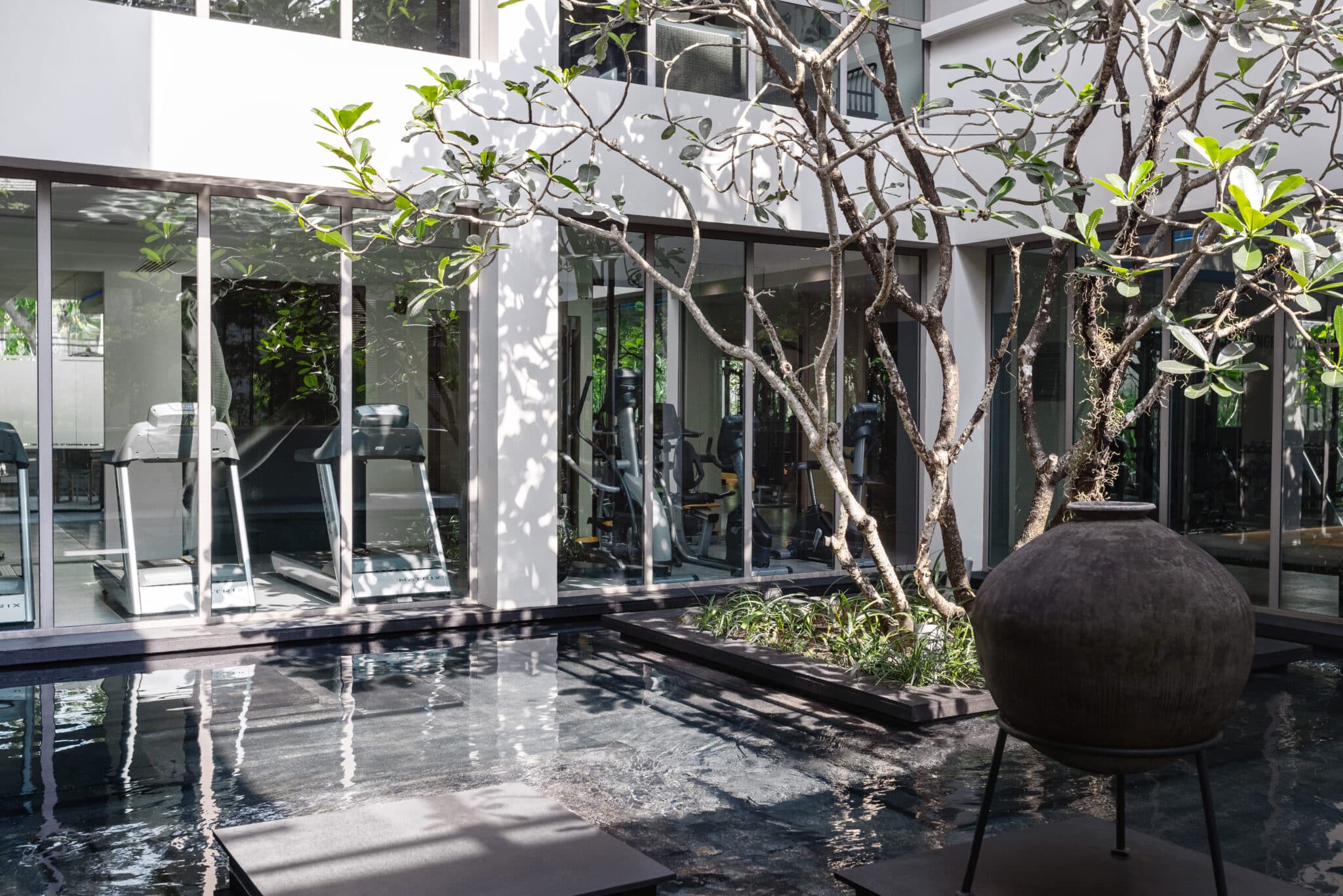 Palm Fitness Phuket | Surin Beach